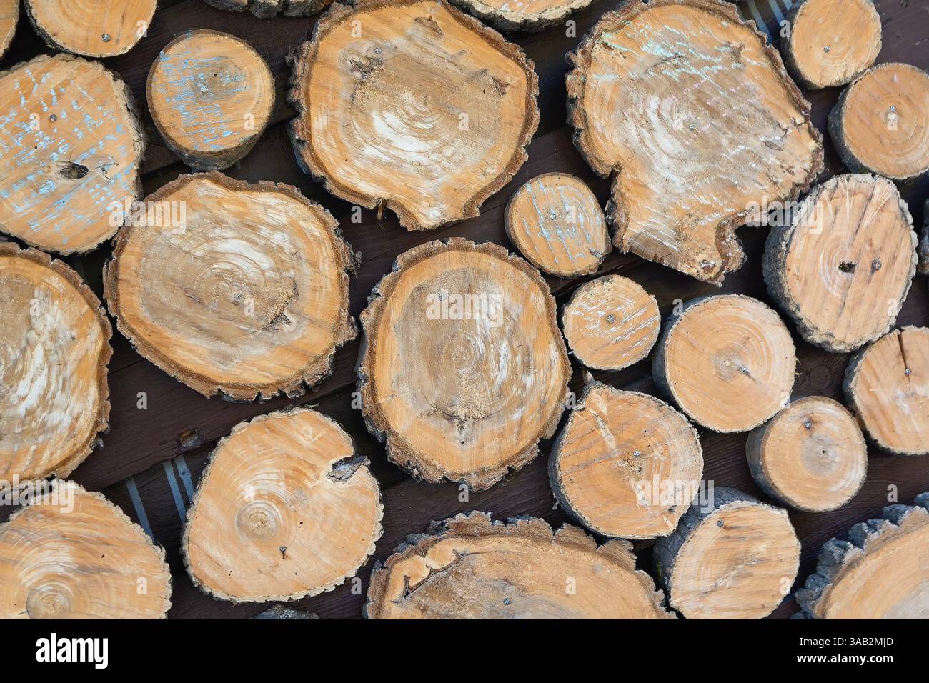 Fence made of round cut tree trunks. Background and texture Stock Photo ...
