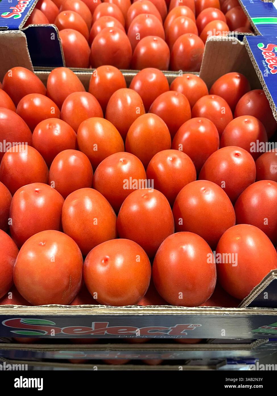 Egg like shape tomatoes hi-res stock photography and images - Alamy