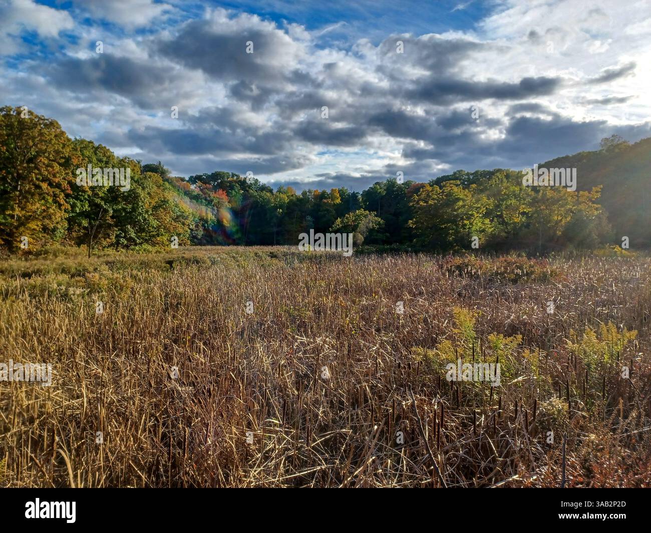 Burlington, ON, Canada – October 14, 2024: Calm stream reflects blue ...