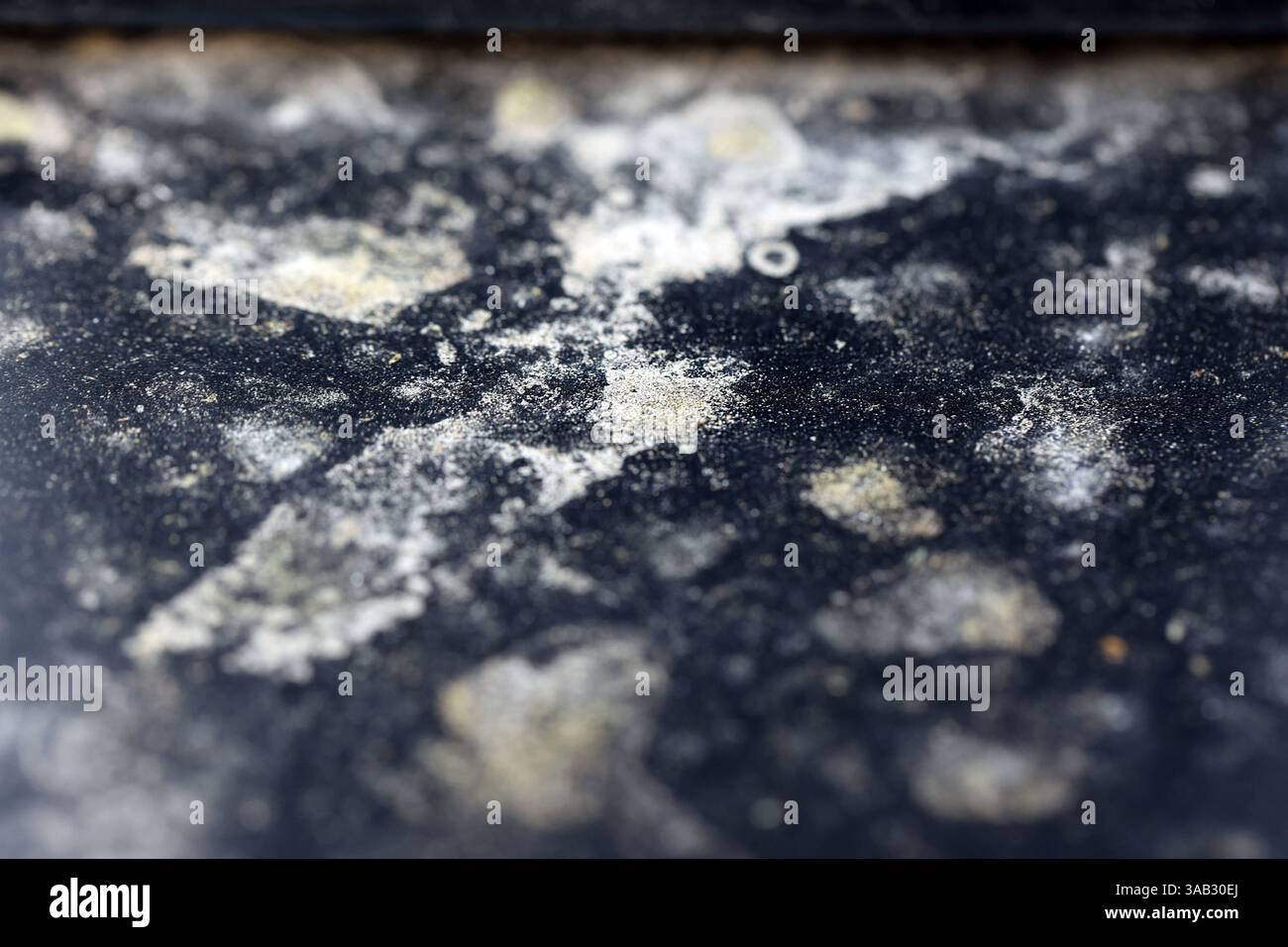 Saharastaub in Europa Saharastaub liegt nach Regenfällen auf dem Lack ...