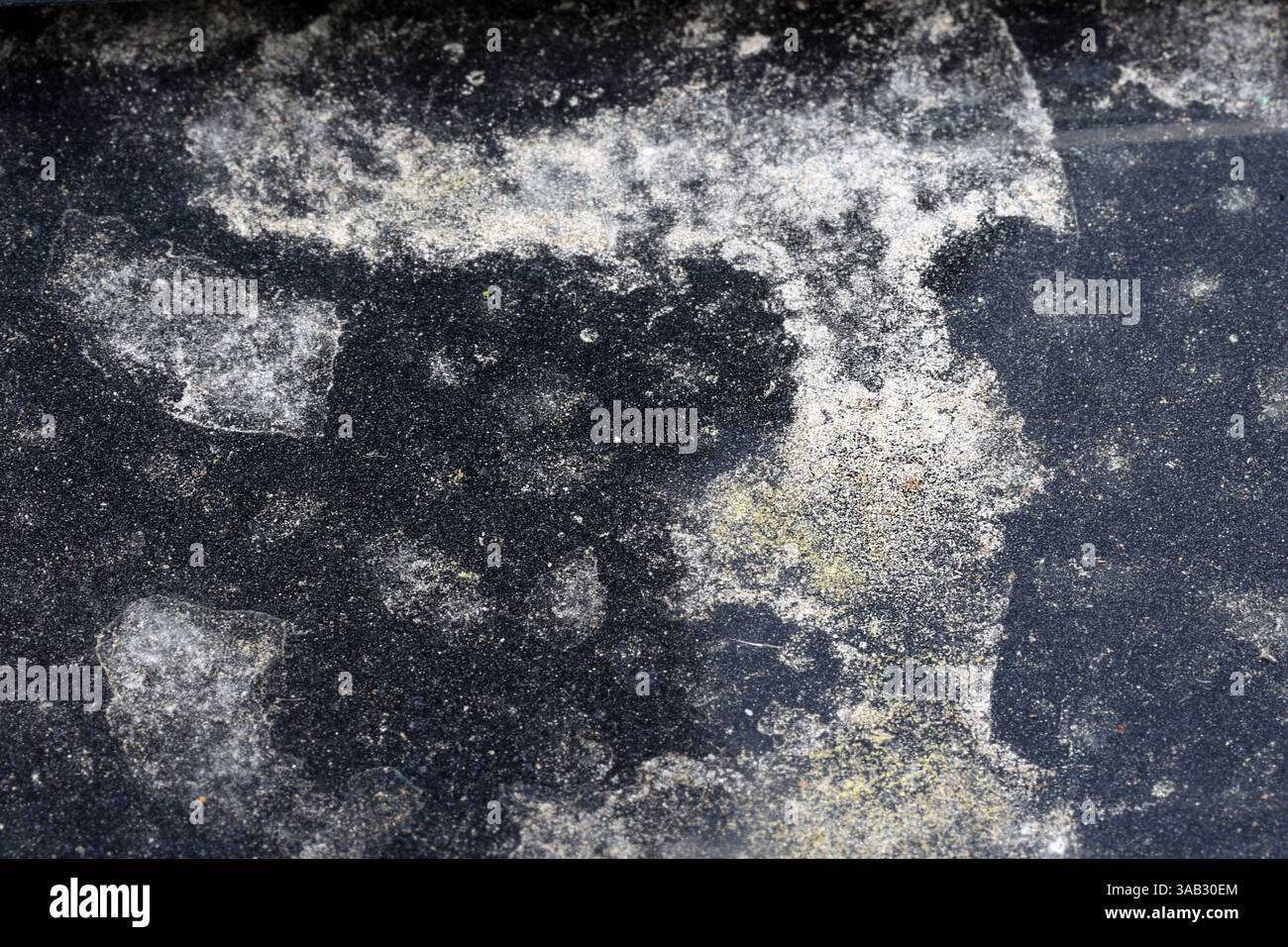 Saharastaub in Europa Saharastaub liegt nach Regenfällen auf dem Lack ...