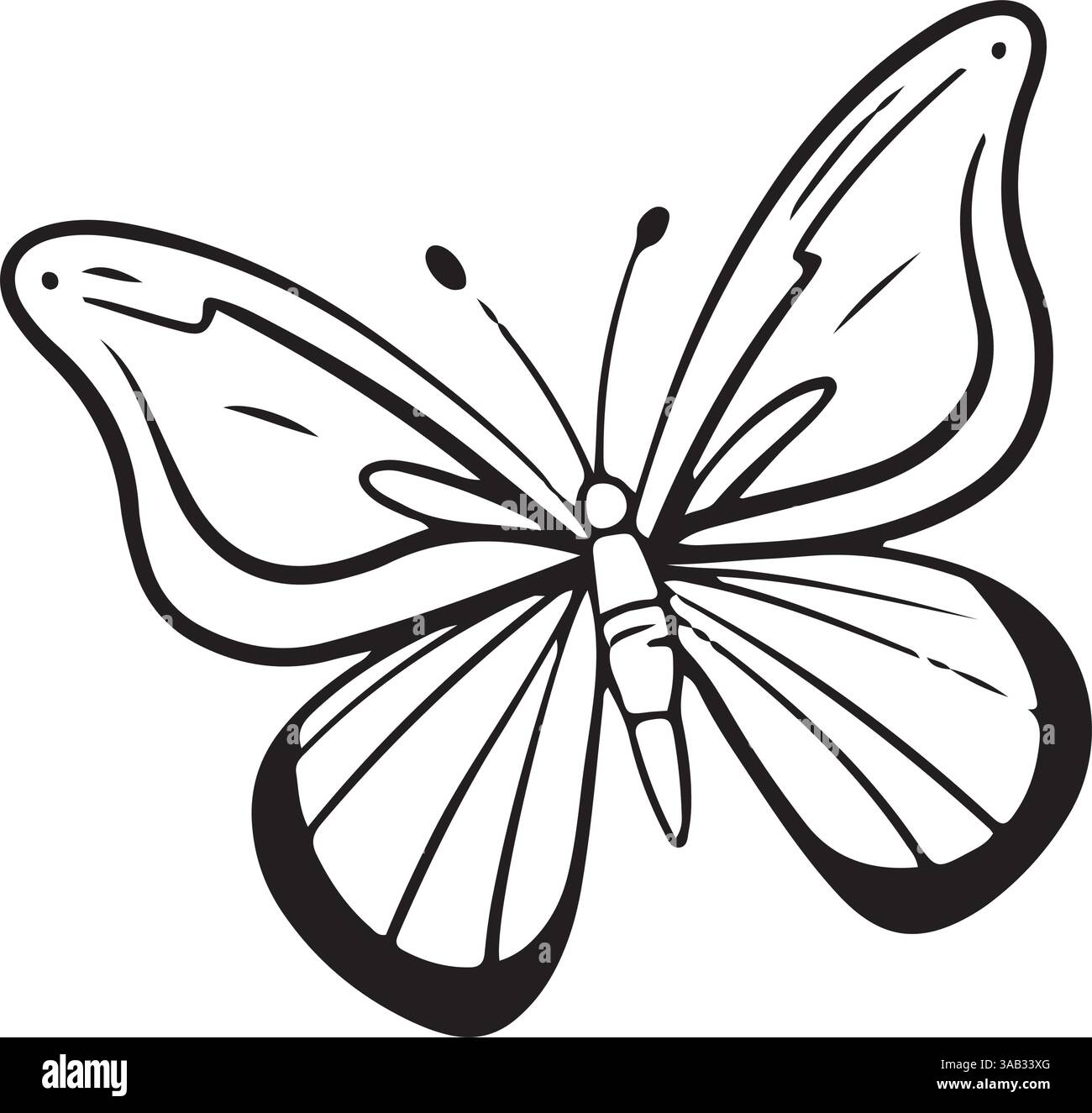 butterfly doodle hand drawn illustration . Outline drawing butterfly ...