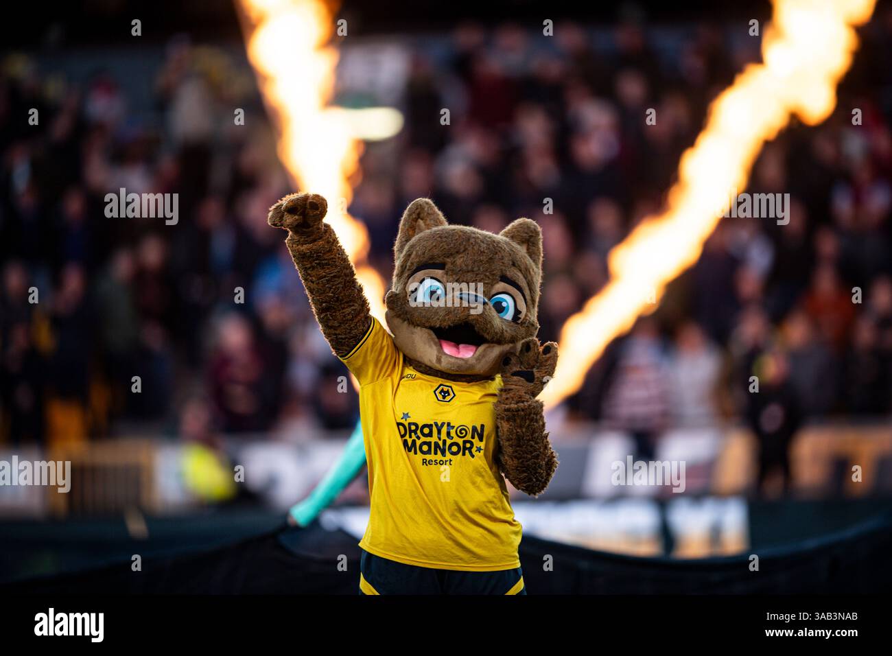 Wolverhampton, UK. 1st April 2025; Molineux Stadium, Wolverhampton ...