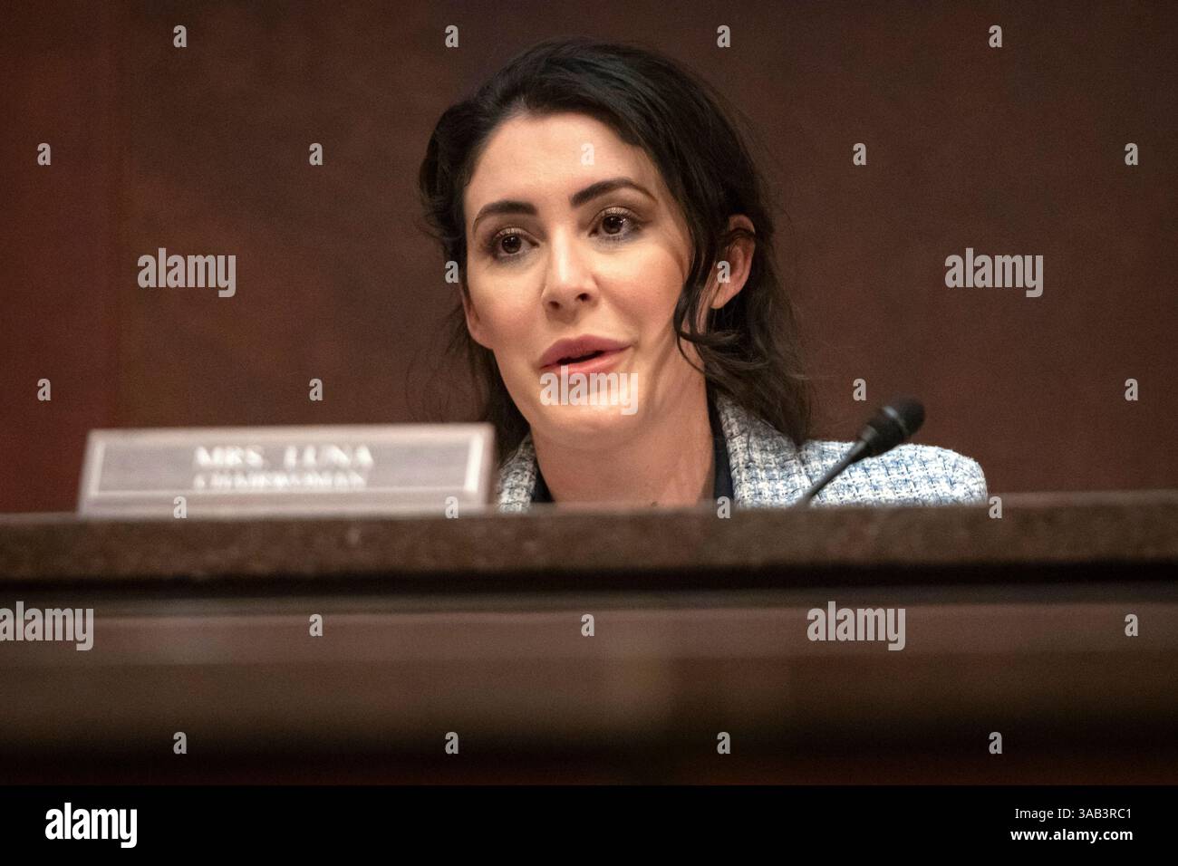 Rep. Anna Paulina Luna, R-Fla., speaks during a hearing of the House ...