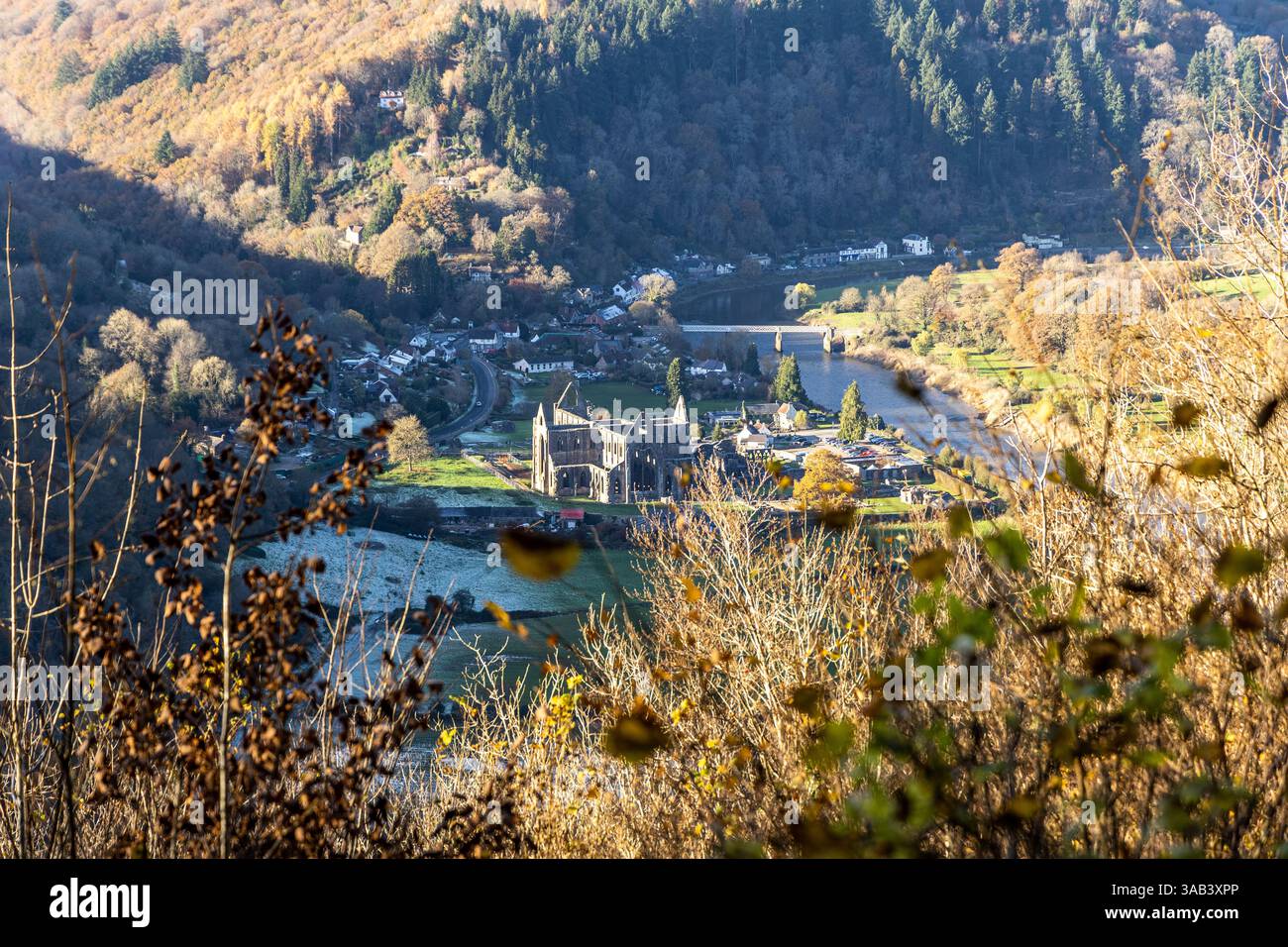 Autumn view from Devils Pulpit over Tintern Abbey and Wye Valley Stock ...