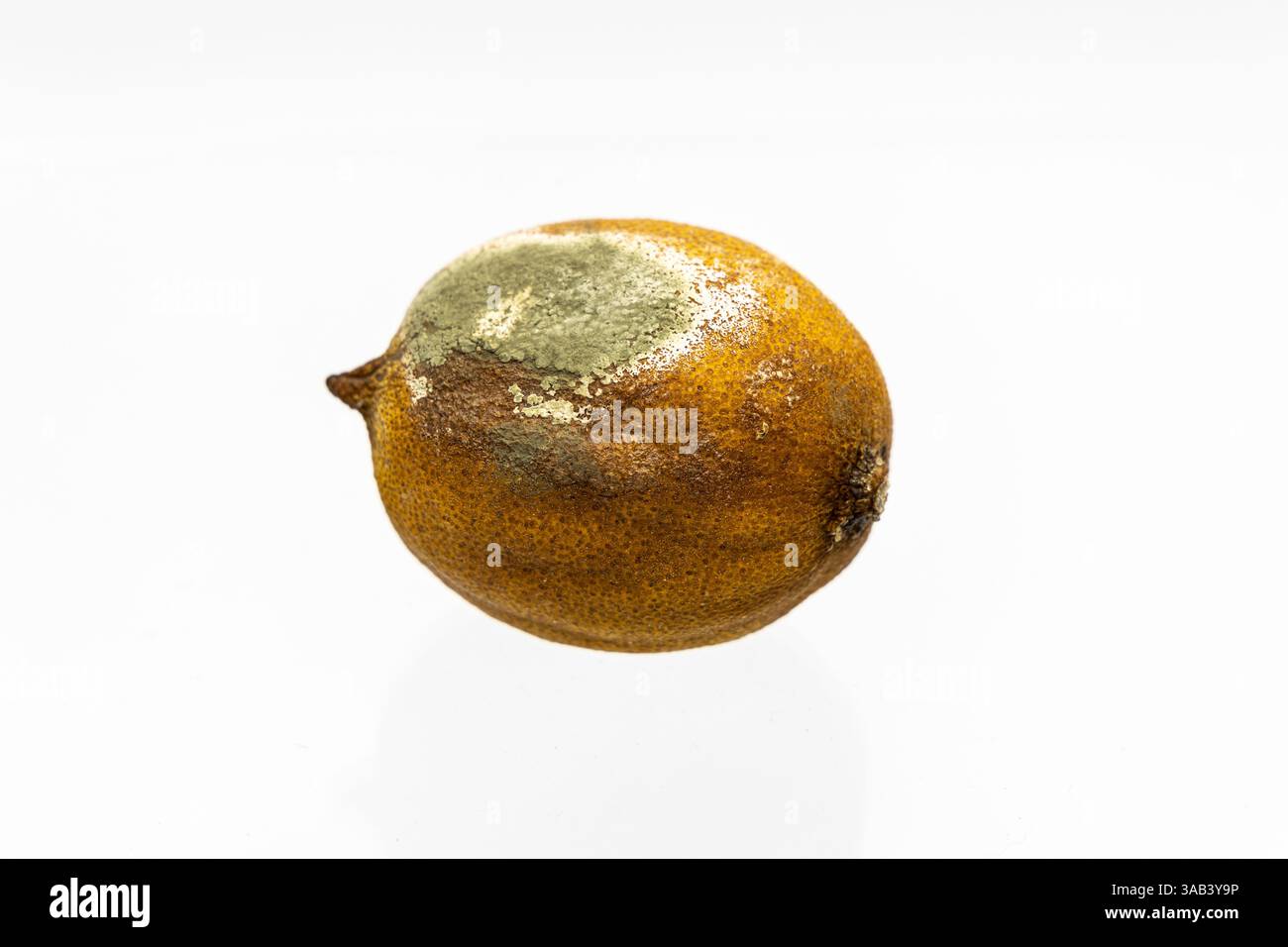 Rotten Molded lemon on white background Stock Photo - Alamy