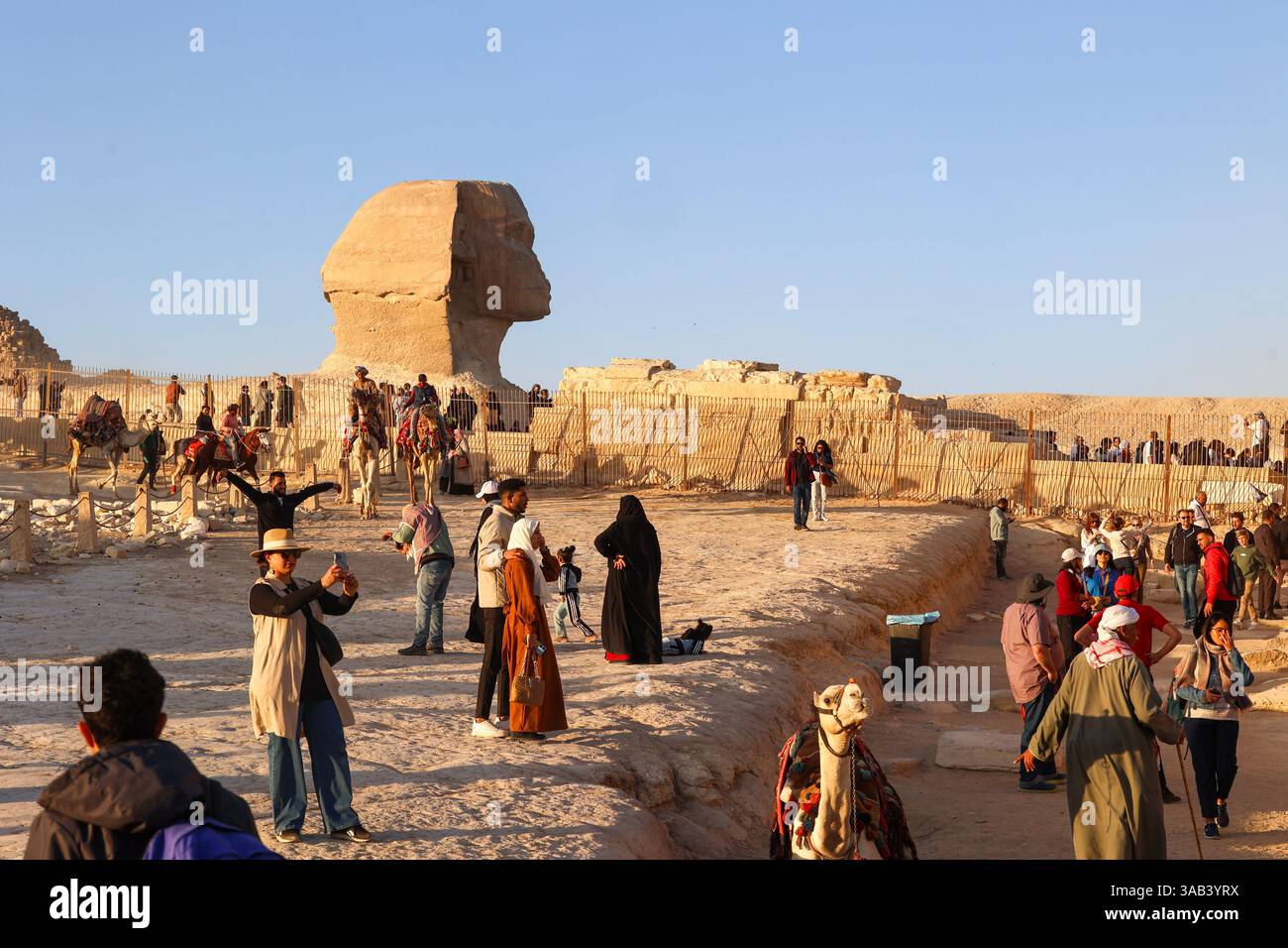 Crowds of tourists under the head of the Sphinx of the Giza pyramid ...