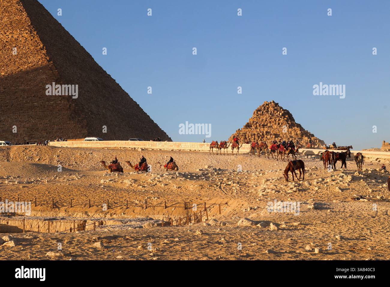 Horses and tourists in the desert sand of the Giza pyramid complex in ...