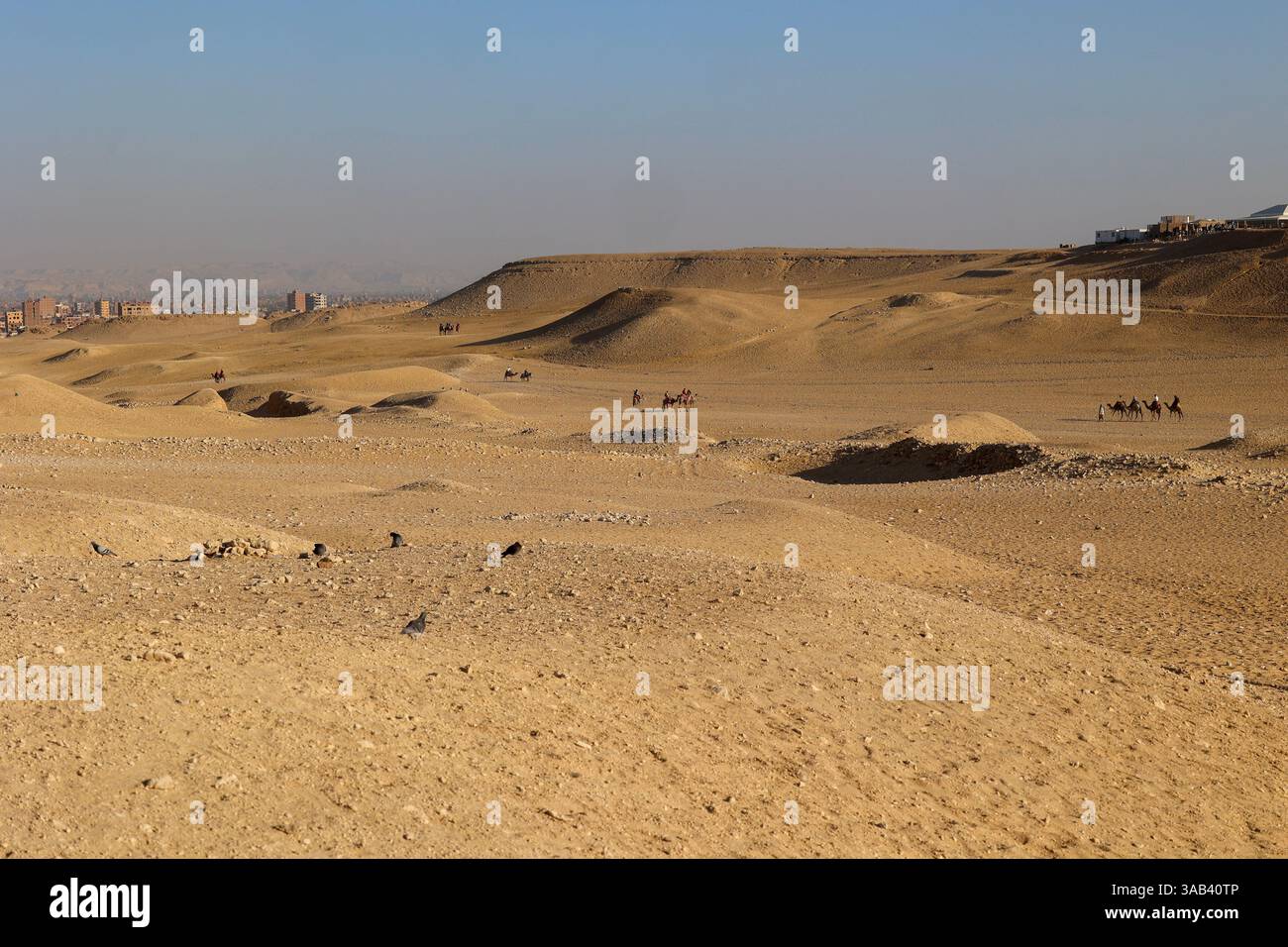 sand of the endless desert of the Giza pyramid complex with the houses ...