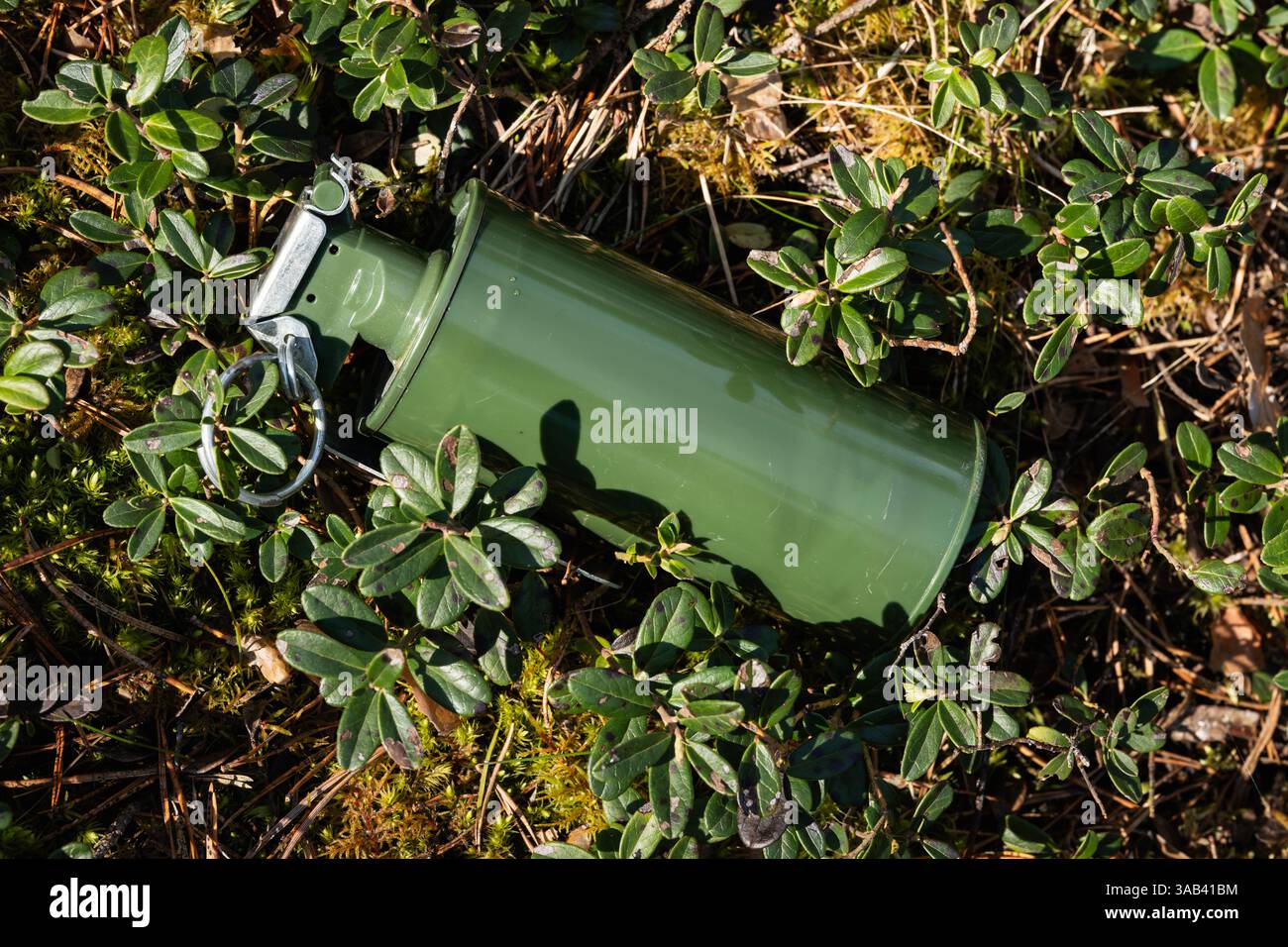 Green tactical smoke grenade lying on the ground in the forest ...