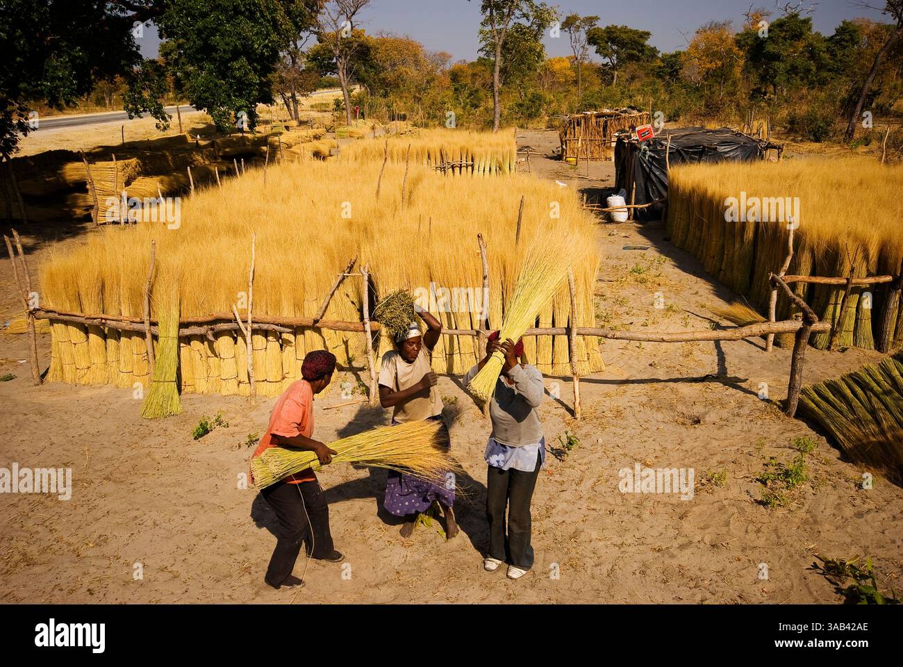 Roof grass producers and sellers, Caprivi Strip, Namibia Stock Photo ...