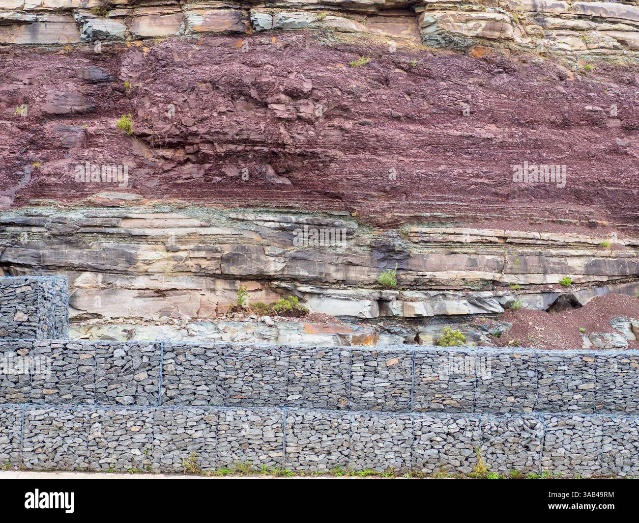 Lootsberg Pass fossil burrows near Graaf-Reinet, South Africa Stock ...