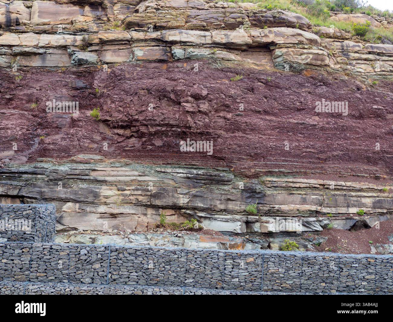 Lootsberg Pass fossil burrows near Graaf-Reinet, South Africa Stock ...