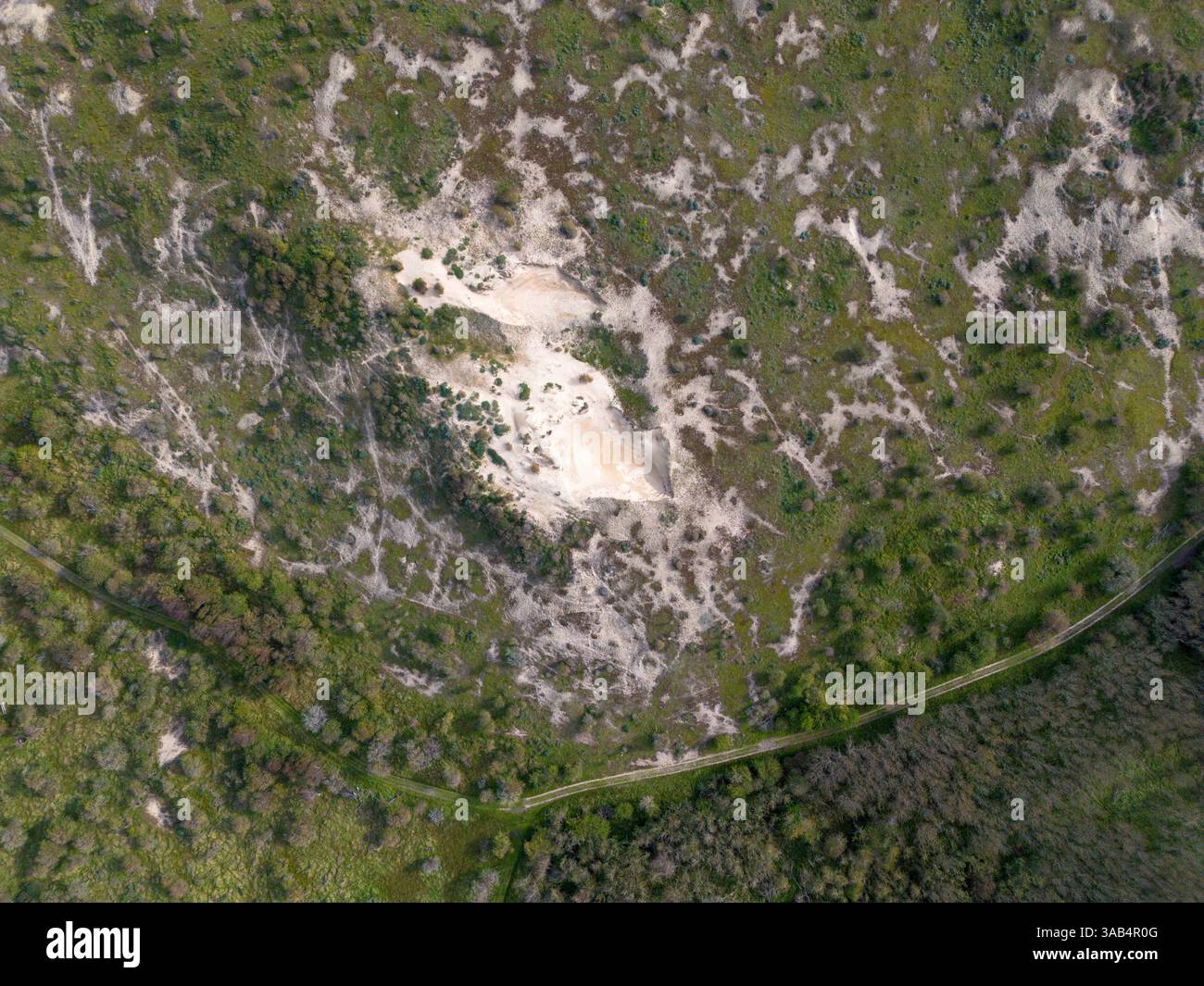 Aerial view of a sandy area surrounded by green vegetation and trees ...