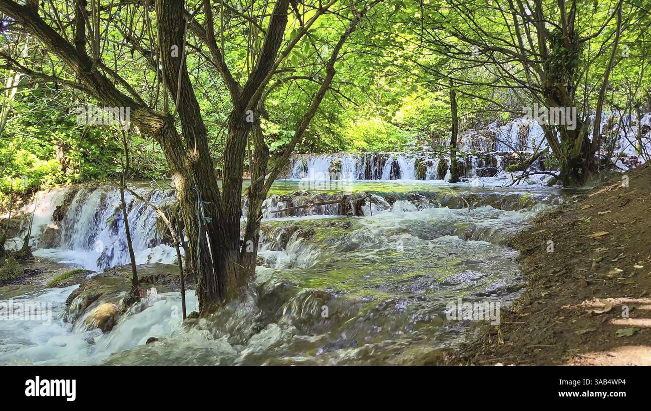 Fascinating sinter terraces of the White Lauter, an impressive natural ...