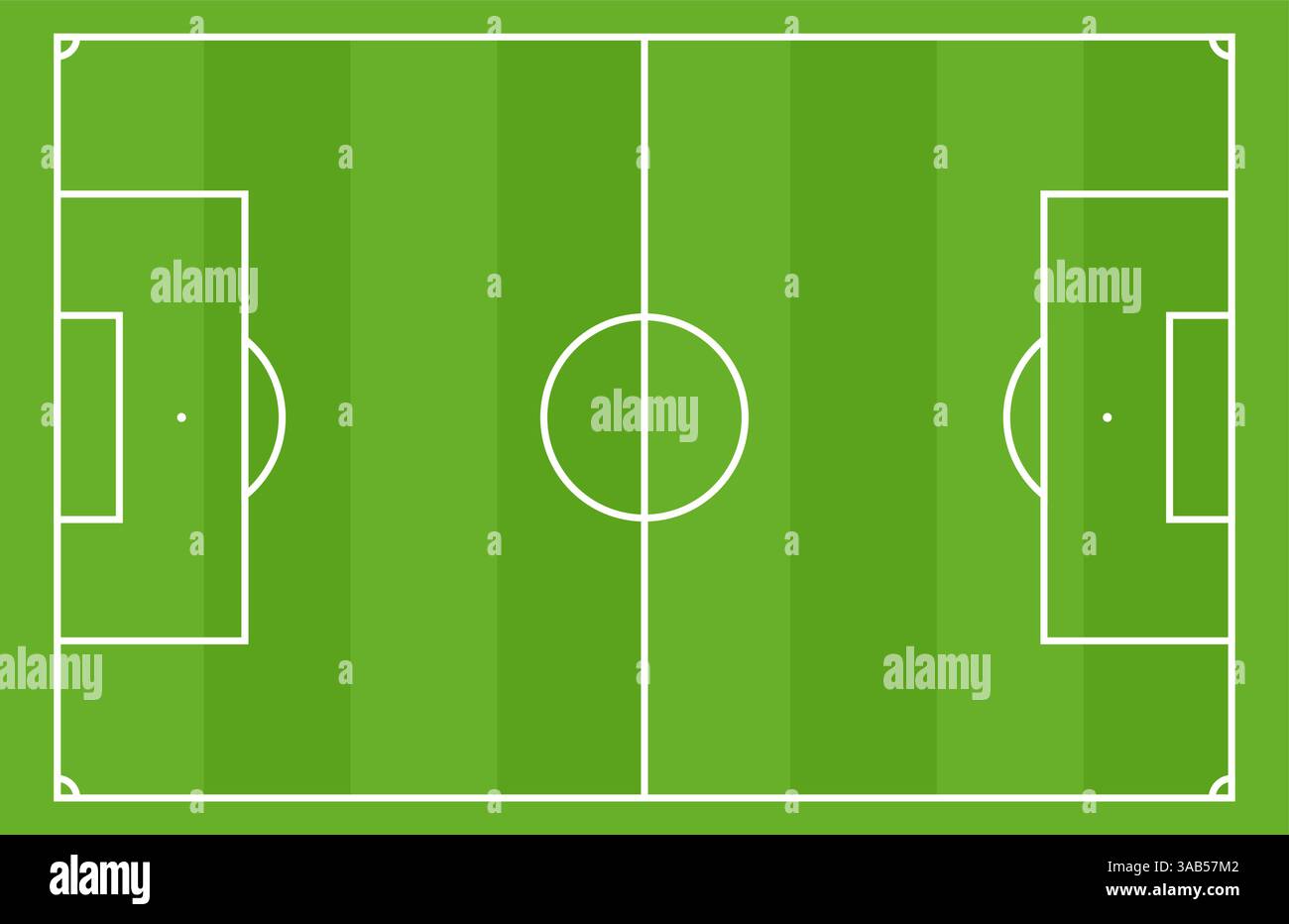 Soccer pitch with goal and playground lines. Stadium grass texture and ...