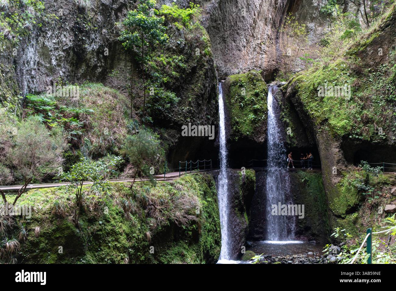 A hiking trail winds along a rugged cliffside, leading to a majestic ...