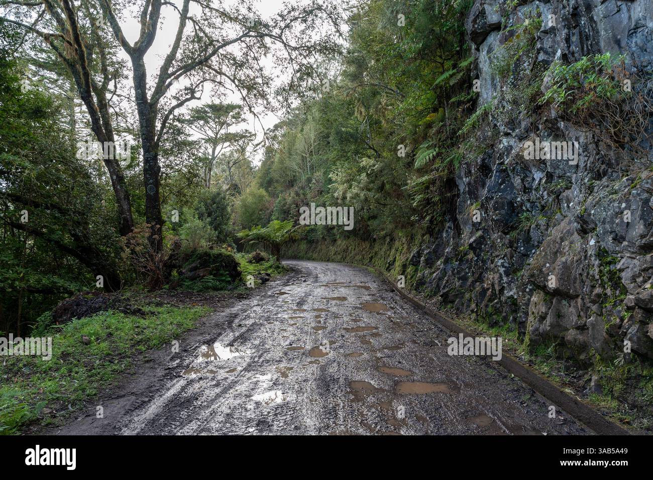 A muddy road with puddles after a rainstorm Stock Photo - Alamy