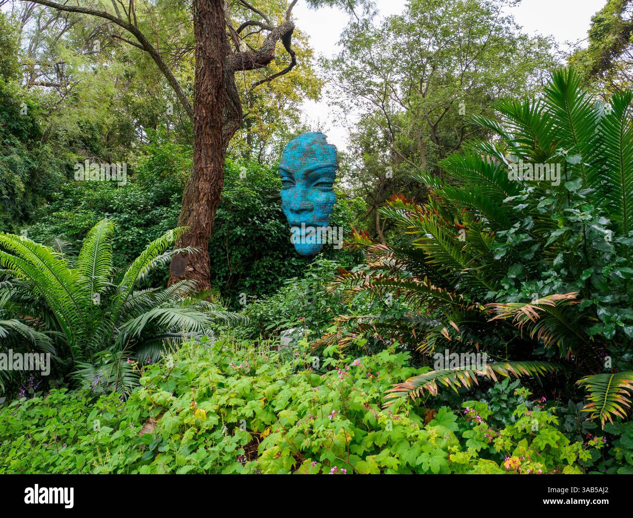 Walter Sisulu national botanical garden, Johannesburg, South Africa ...