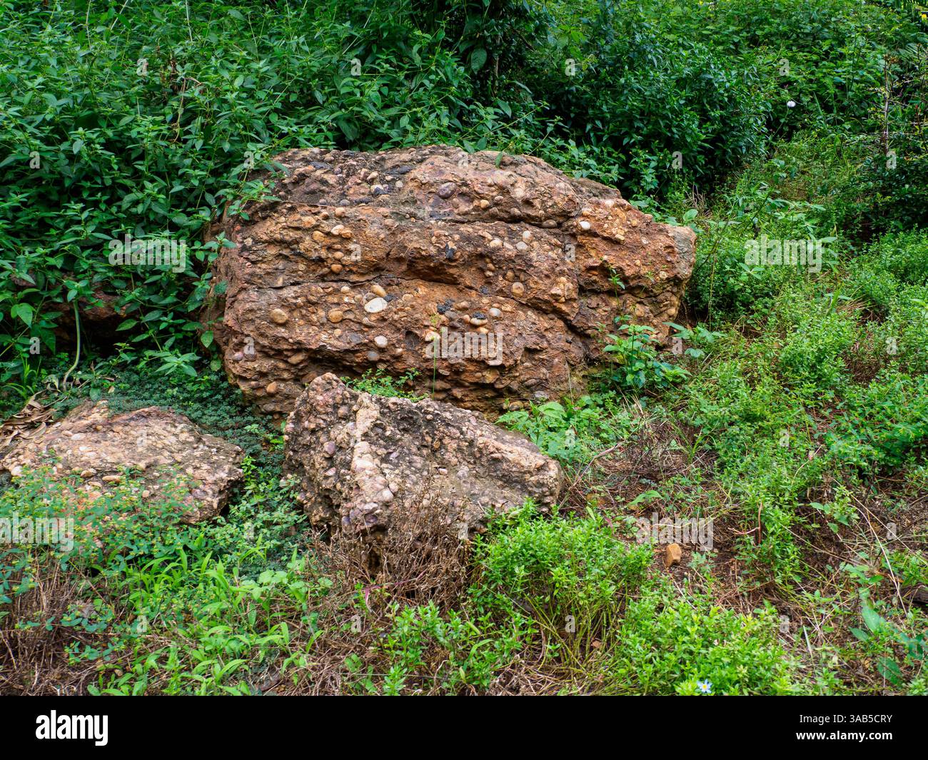 Walter Sisulu national botanical garden, Geological display garden ...