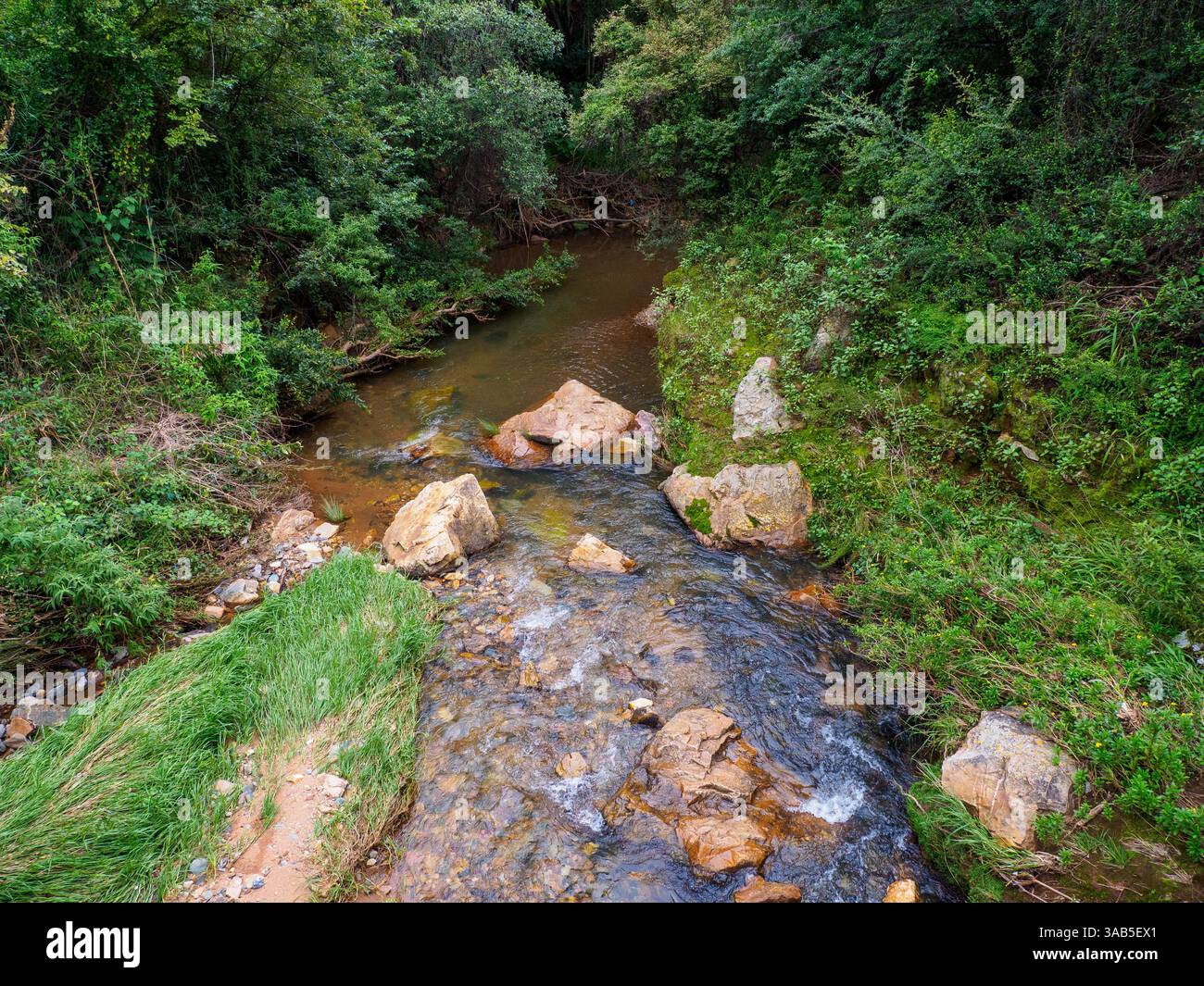 Walter Sisulu national botanical garden, Johannesburg, South Africa ...