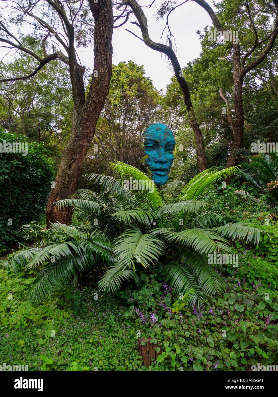 Walter Sisulu national botanical garden, Johannesburg, South Africa ...