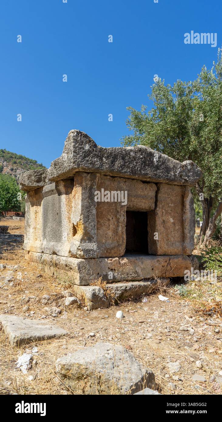Lycian sarcophagus in center of city Fethiye, Turkey. Lycian tombs in ...