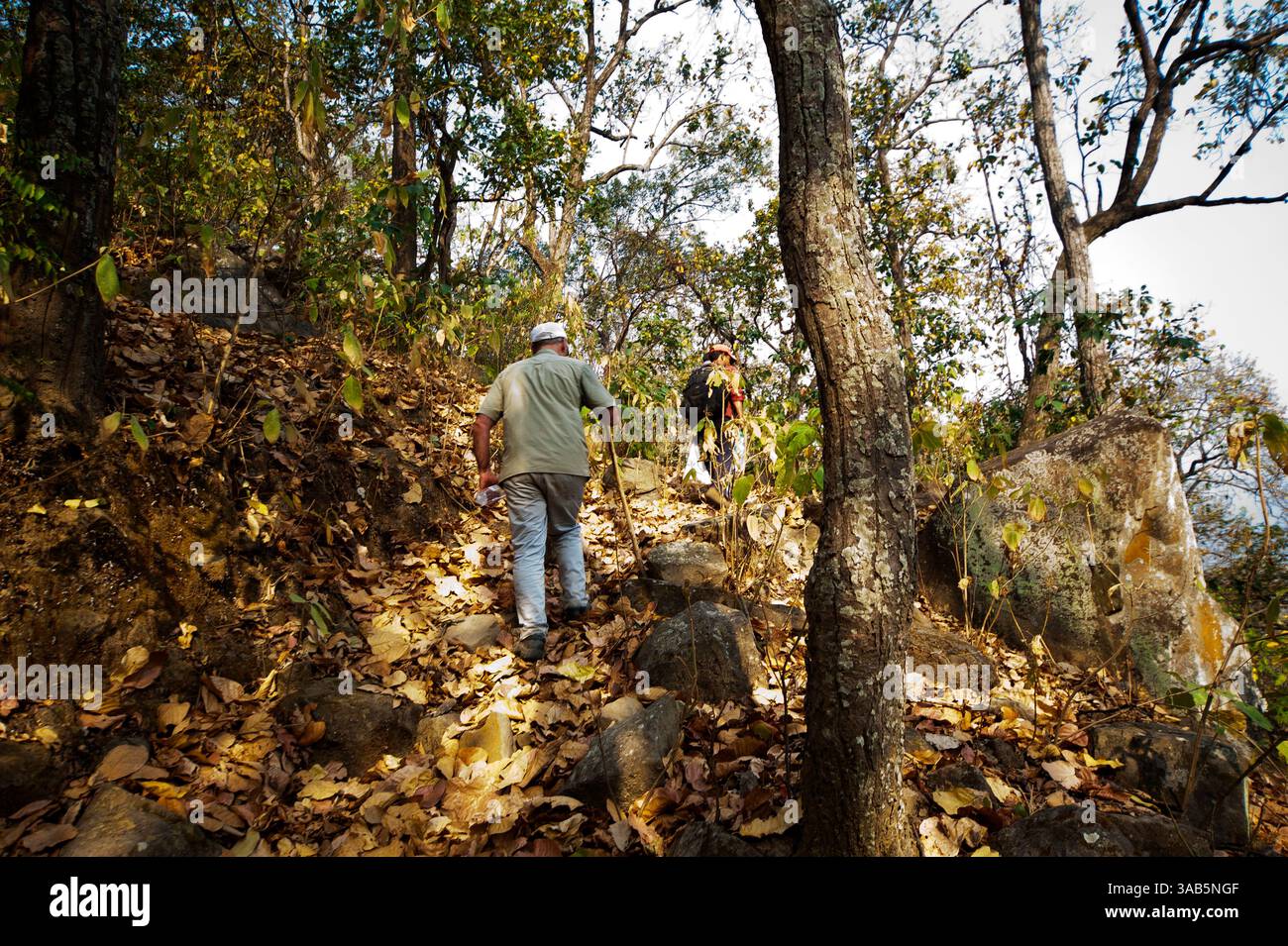 Path on the forest going up hill from Chuka Village to Thak Village ...