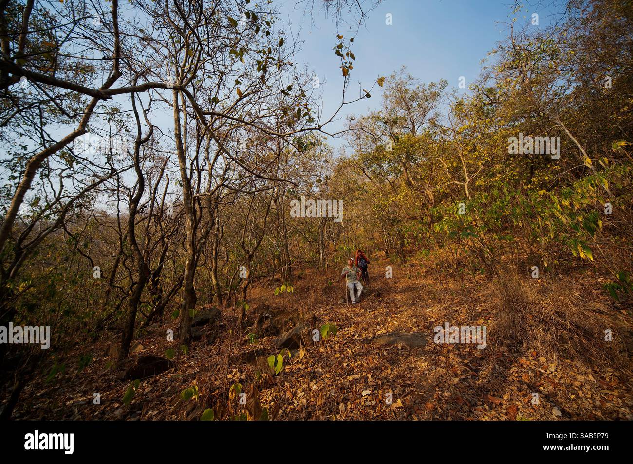 Path on the forest going from Thak Village to Kot Kendri Village, made ...