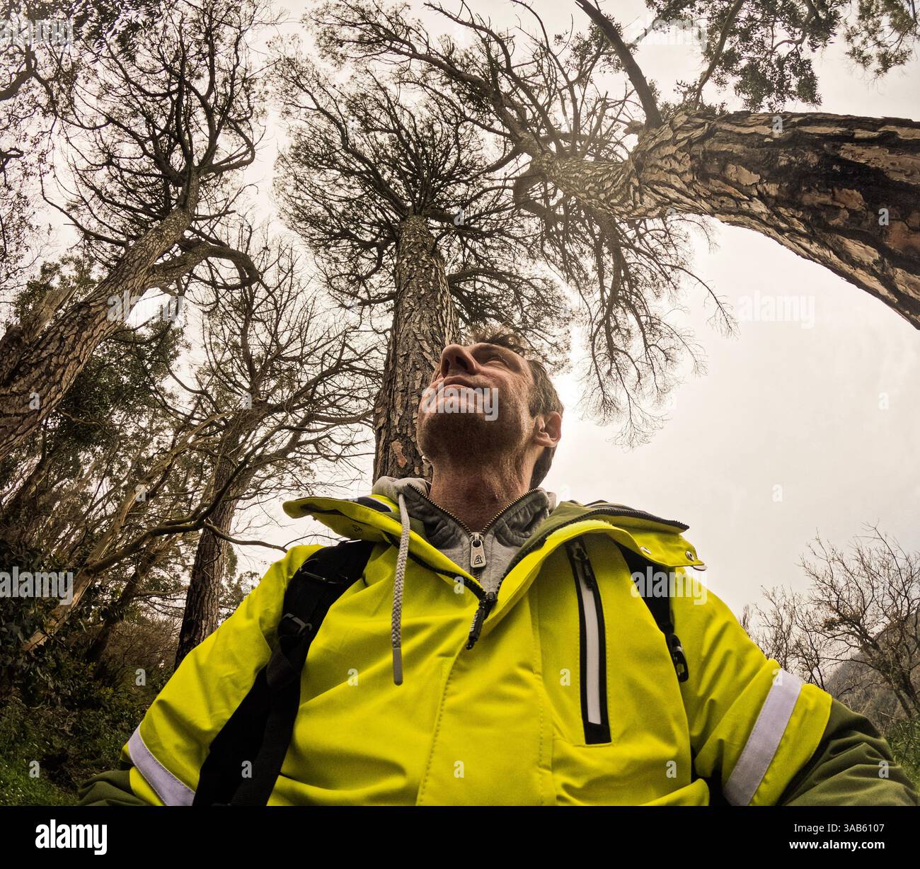 Man relaxing under a tree in the Peloritani Mountains in Sicily Stock ...