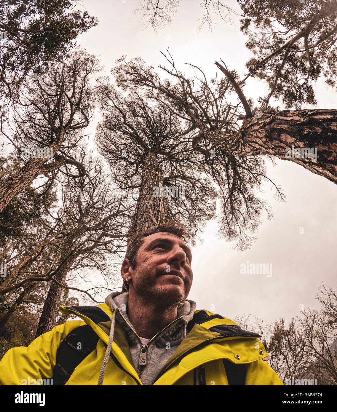 Man relaxing under a tree in the Peloritani Mountains in Sicily Stock ...
