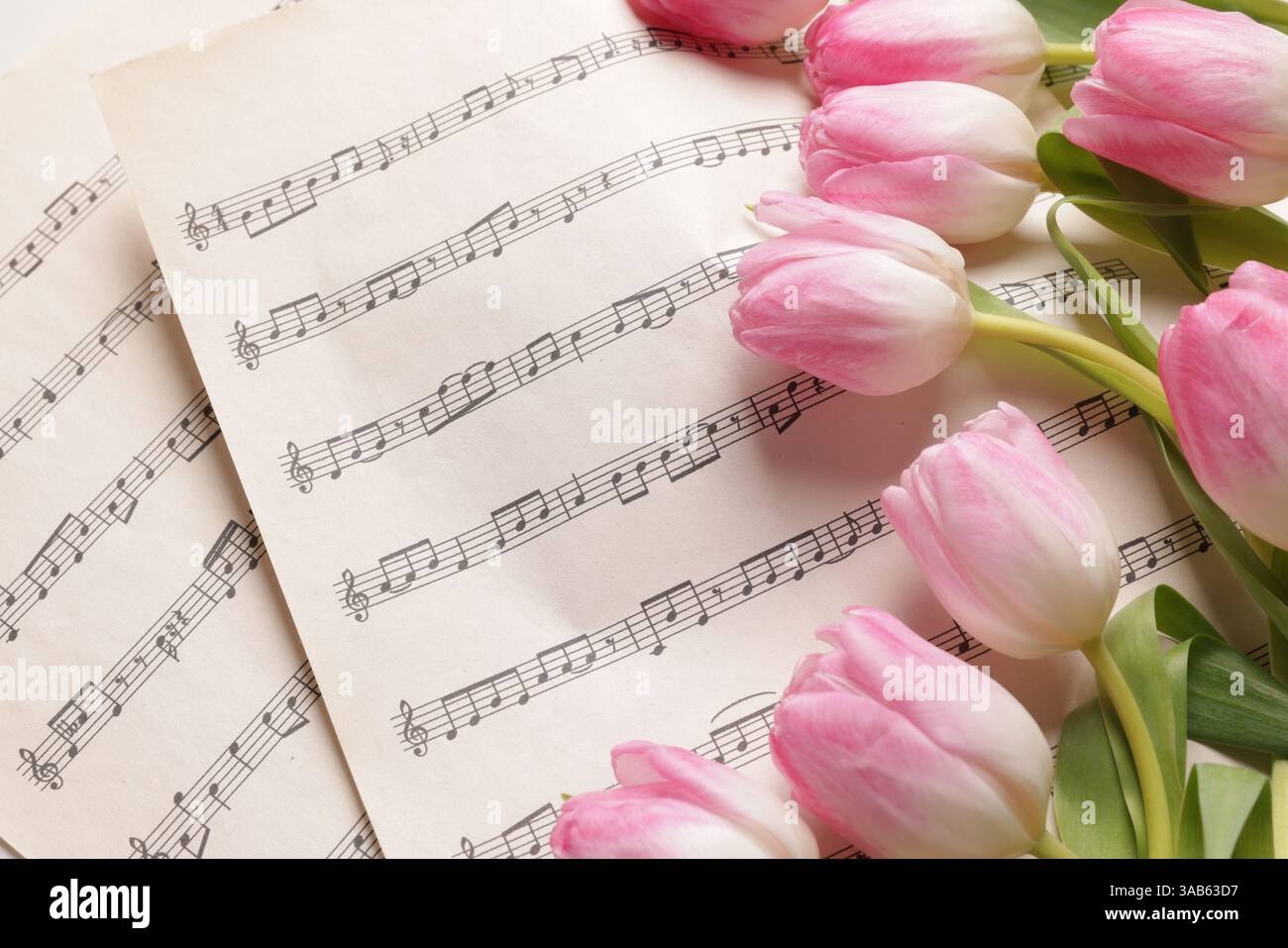 Beautiful tulips on sheets with music notes, top view Stock Photo - Alamy