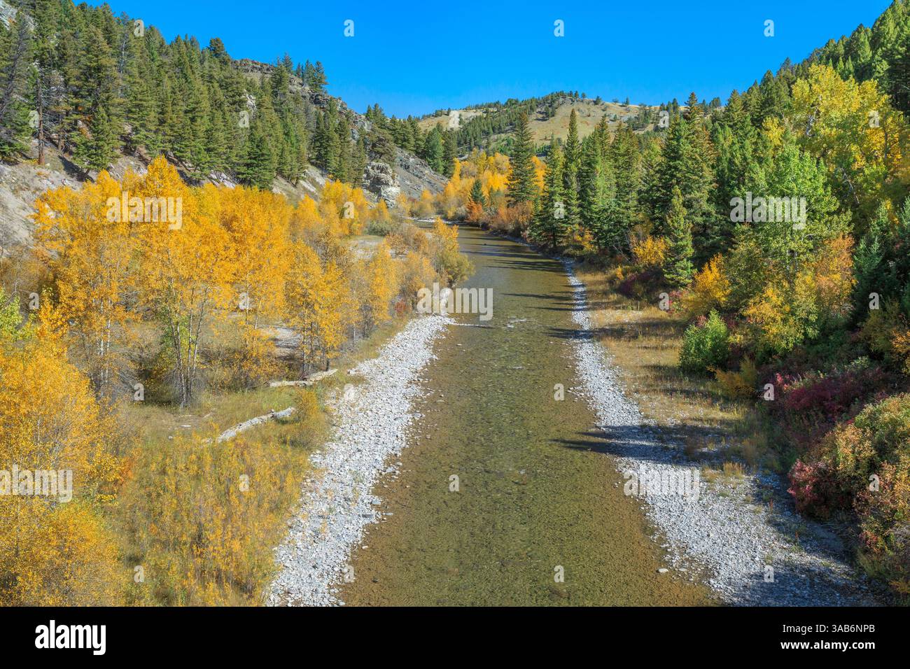 fall colors along the dearborn river near augusta, montana Stock Photo ...