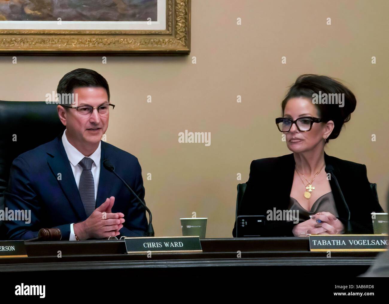 Assembly Member Christopher Ward, D-San Diego, presents arguments ...