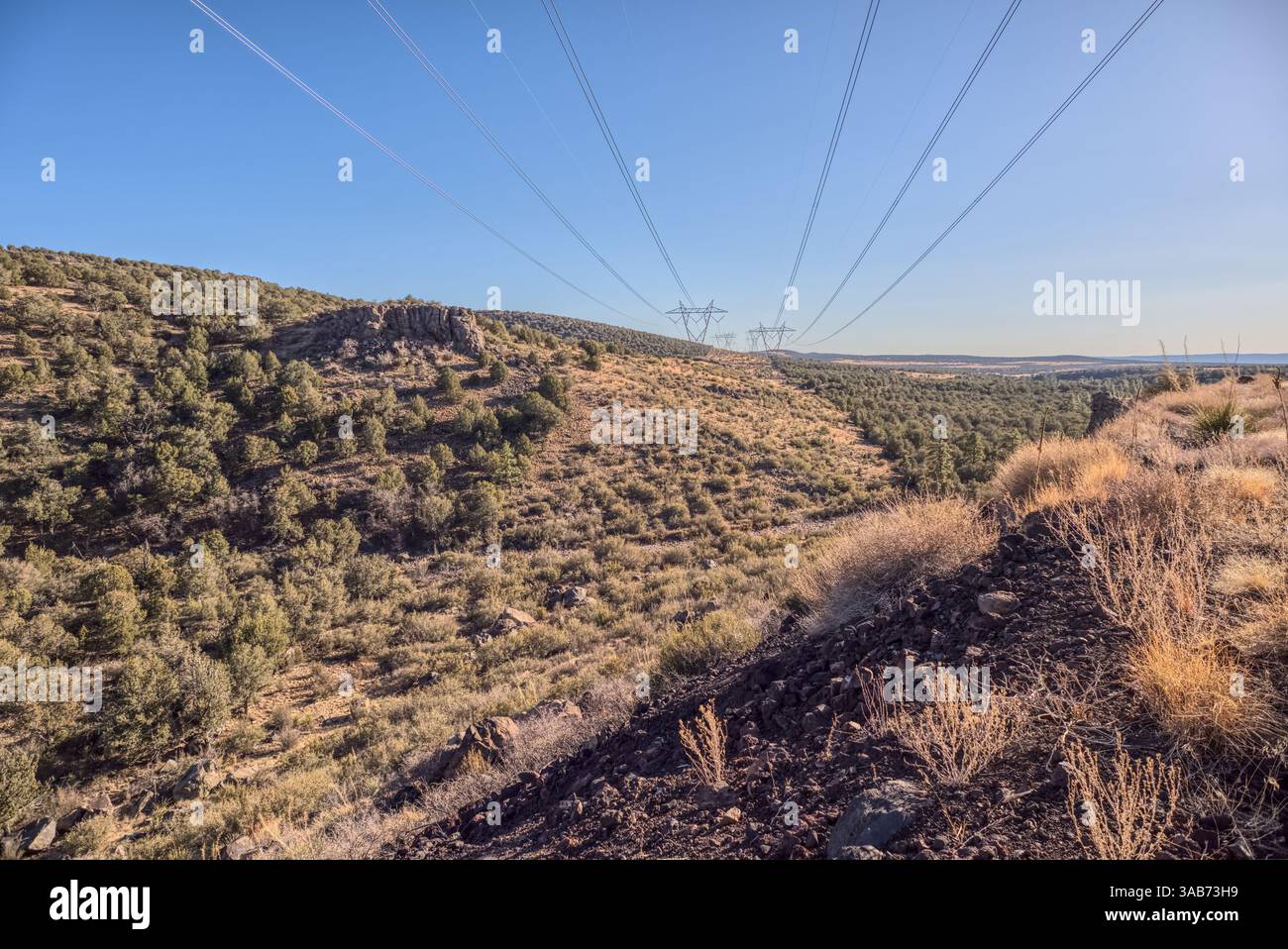 Path rocky hills across forest hi-res stock photography and images - Alamy
