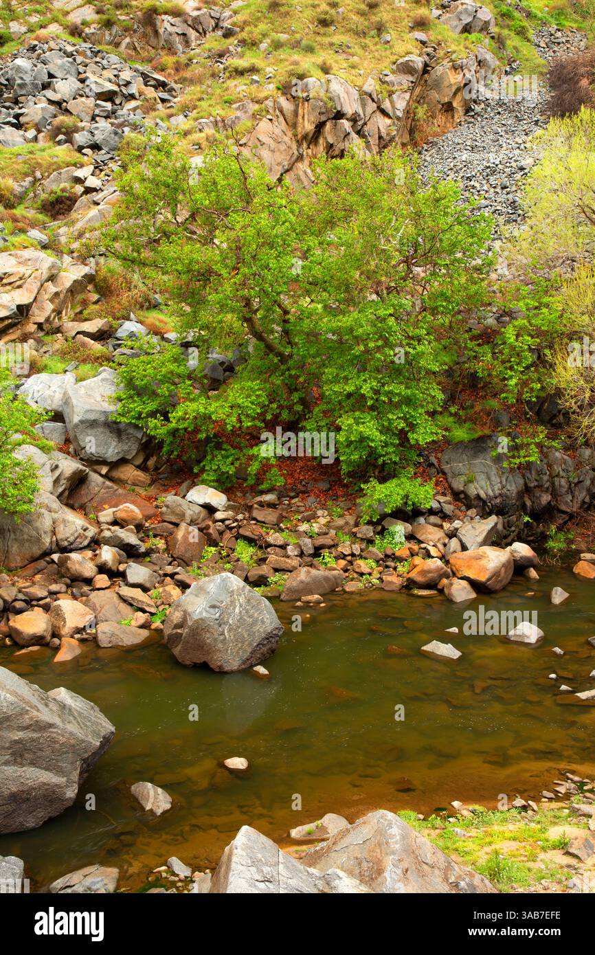 Kern River, Sequoia National Forest, California Stock Photo - Alamy