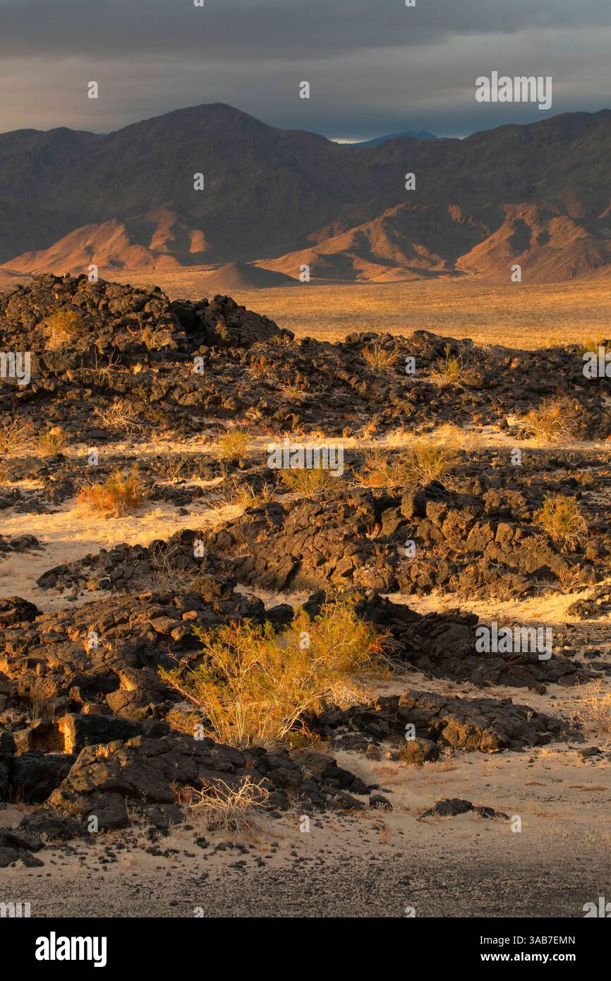 Lava flow along Amboy Crater Trail, Mojave Trails National Monument ...
