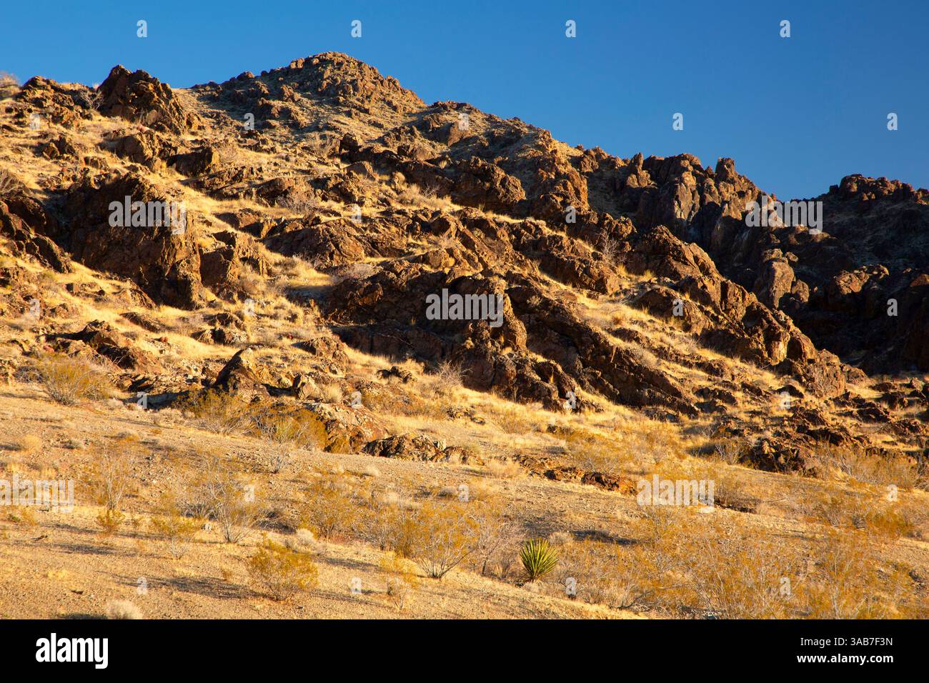Stoddard Ridge, Sawtooth Canyon Recreation Area, Barstow District ...