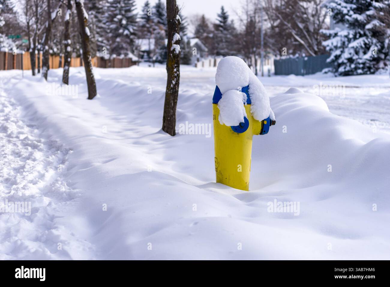 Fire hydrant covered with fresh snow Stock Photo - Alamy