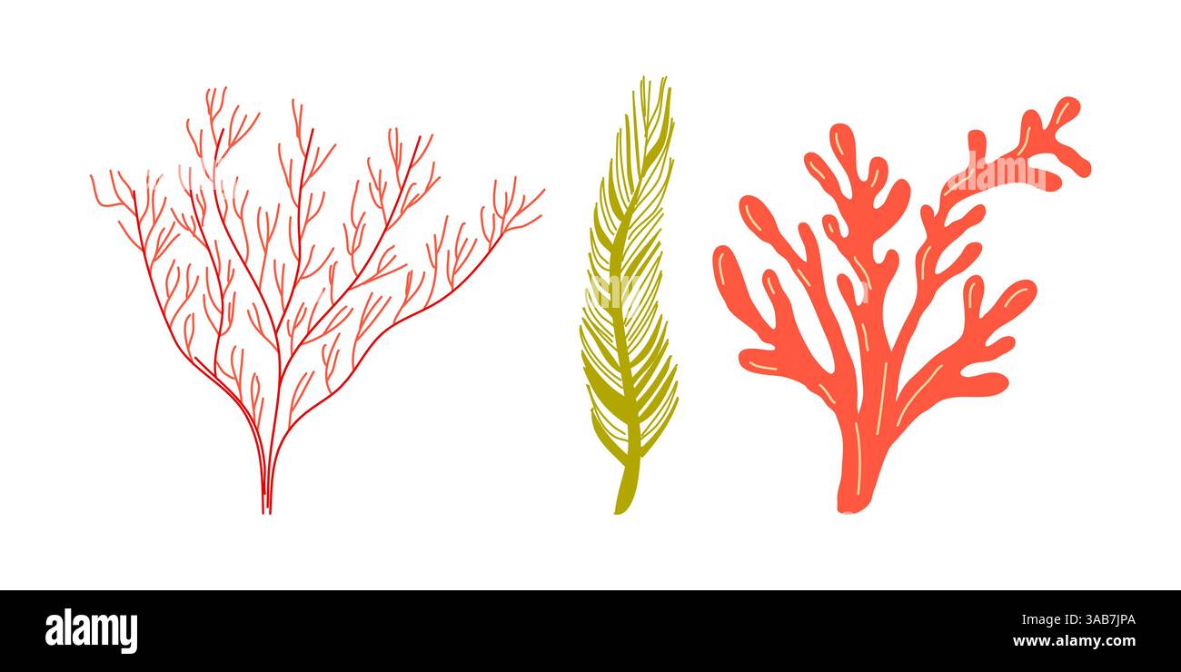 Sea Plants Underwater ocean Marine flora Set. Design for banner poster ...