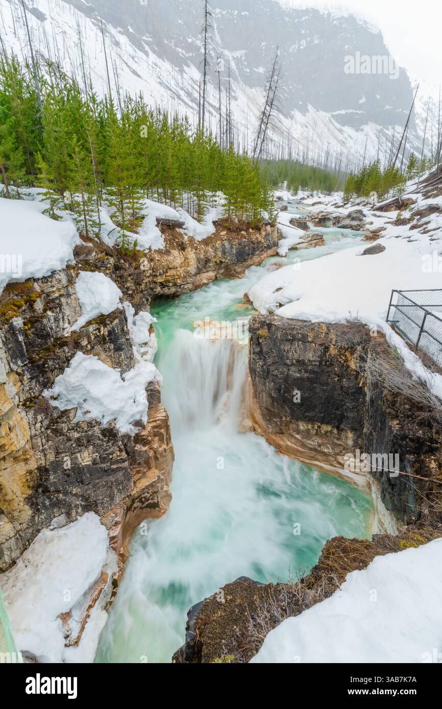 The stunning waterfall at Marble Canyon in Kootenay National Park ...
