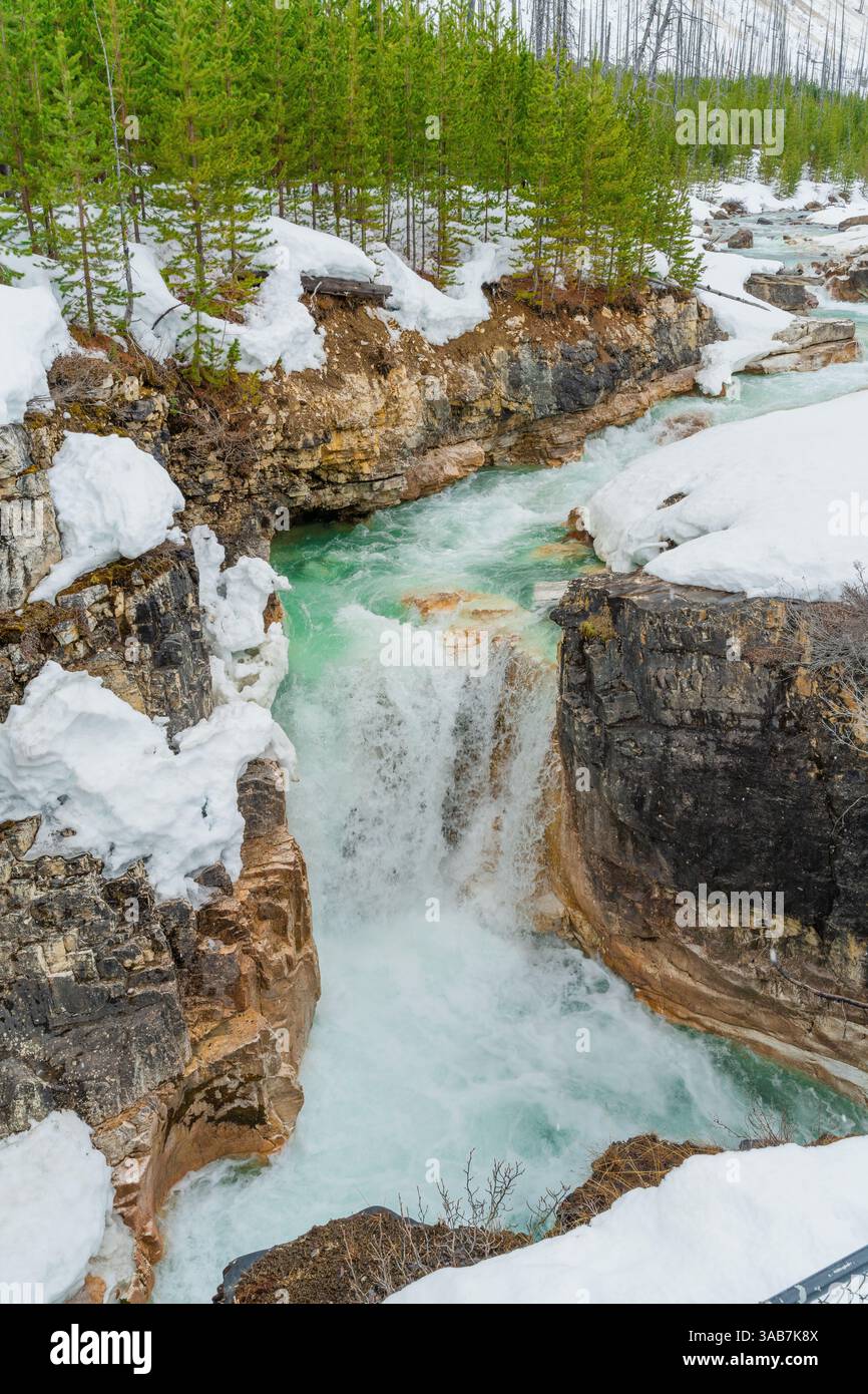 The stunning waterfall at Marble Canyon in Kootenay National Park, Canada, cascades through deep ...