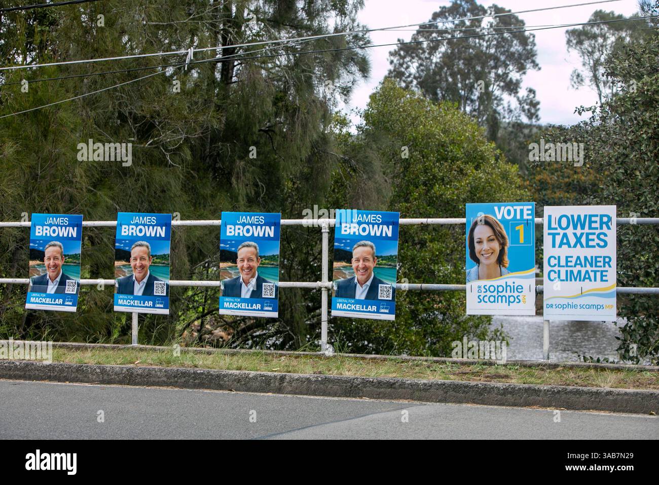 Australian Federal Election 2025, in the Federal seat of Mackellar in ...