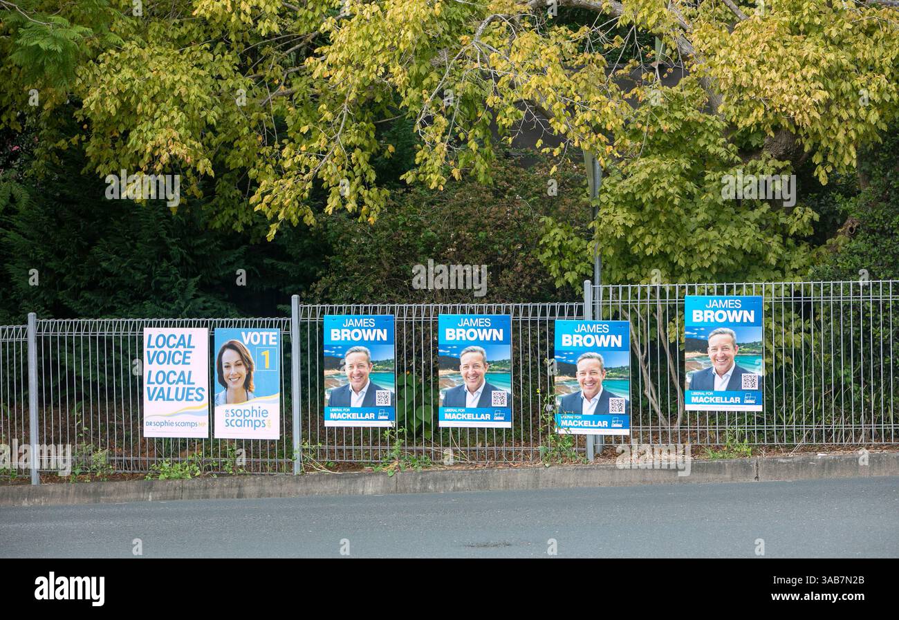 Australian Federal Election 2025, in the Federal seat of Mackellar in ...