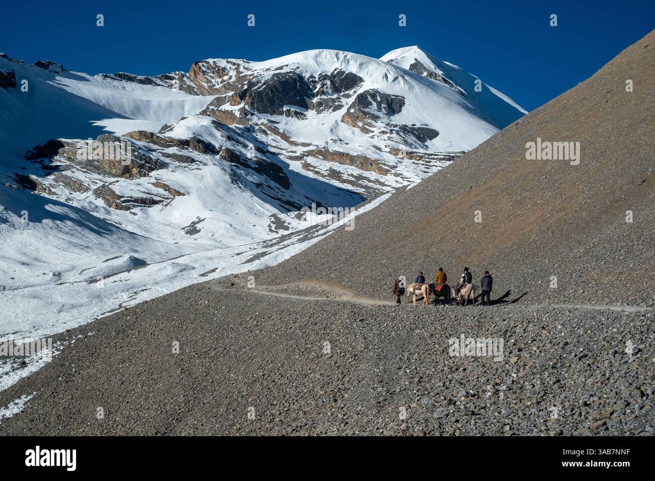 A group of hikers trek along a rugged mountain path towards Thorong La ...