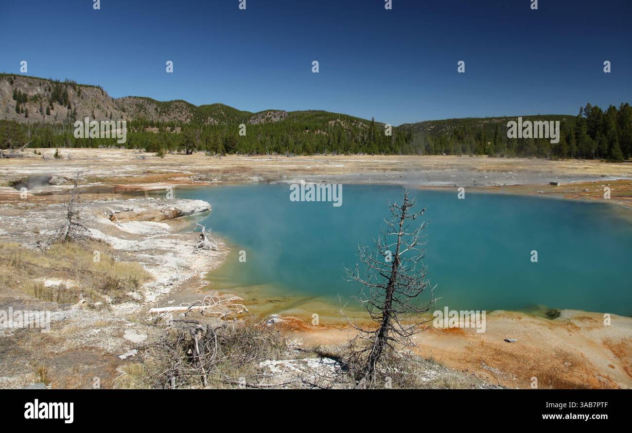 Biscuit Basin Loop Trail (Continental Divide Trail) in Biscuit Basin at ...