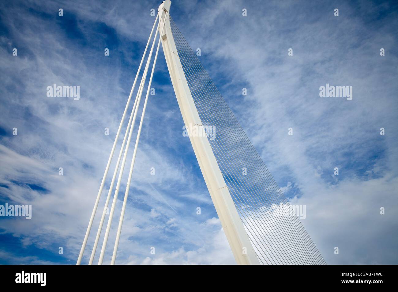 Modern cable-stayed bridge featuring a sleek white pylon and diagonal ...
