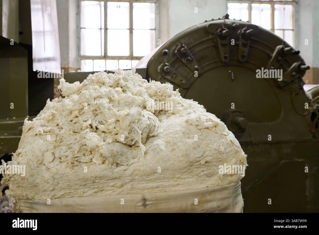Bag filled with soft sheep wool ready for processing in a textile ...