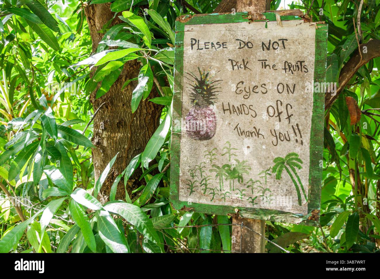 Fruit preservation message hi-res stock photography and images - Alamy