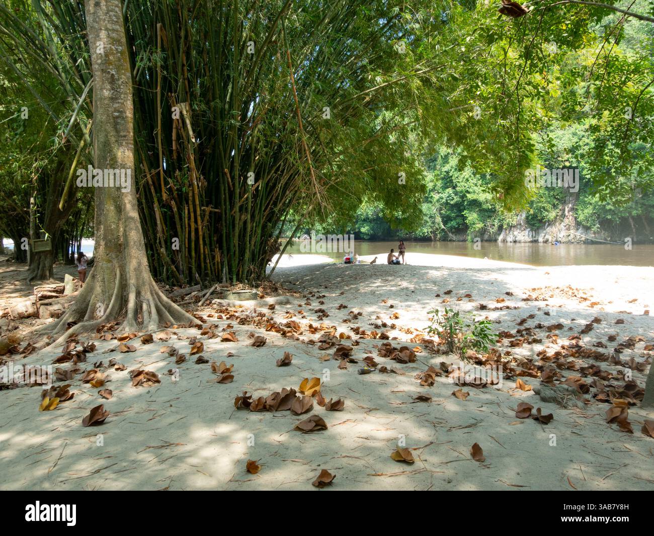 A sandy beach along the Rio Don Diego, a popular tourist destination ...